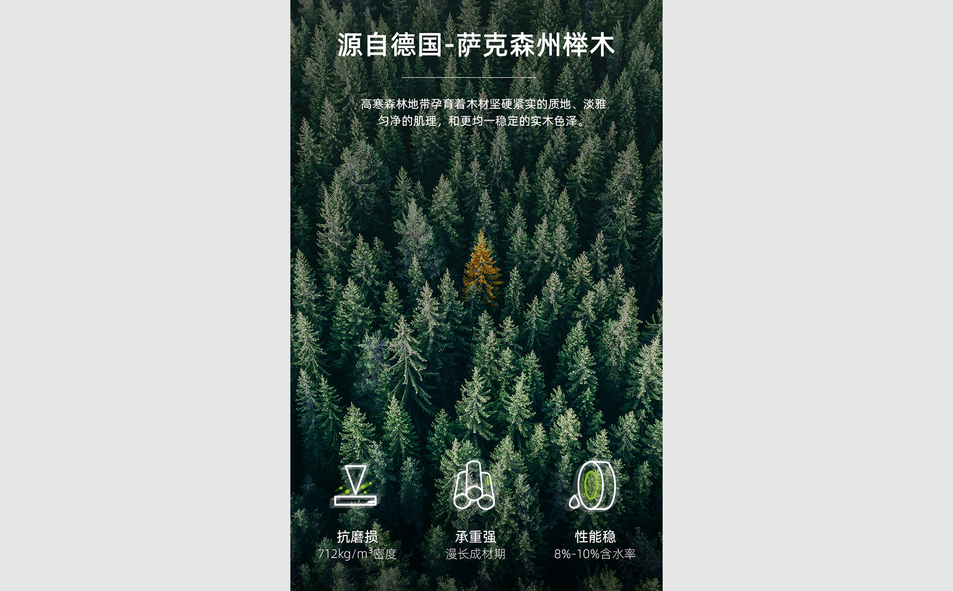 Brateck北弧 艺术电视支架 FS12-46F-01